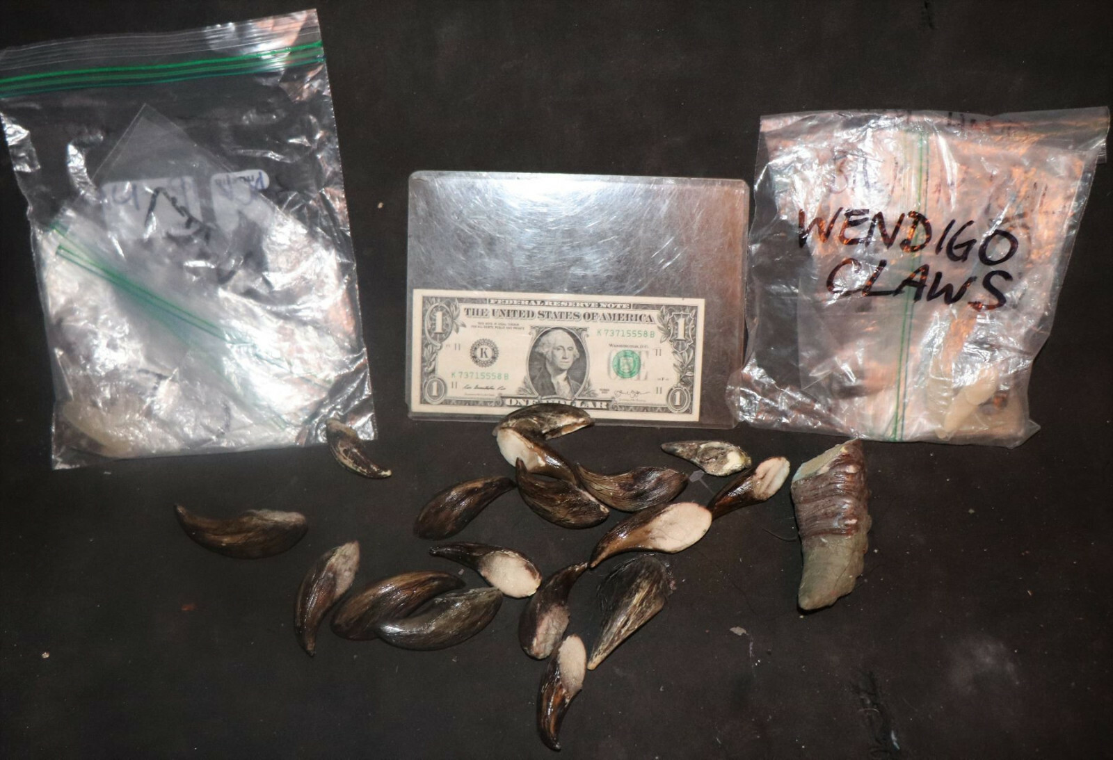 SLEEPY HOLLOW: 1 BAG OF CREATURE WENDIGO CLAWS | eBay