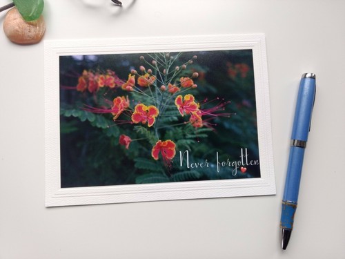 'Never Forgotten'. Lovely Blank Greeting Card w/Envelope, Artist is ...