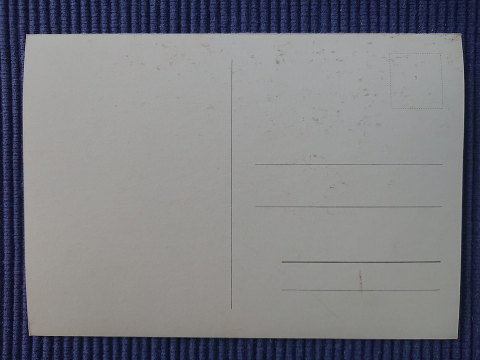 alte Ansichtskarte Postkarte AK 2 Hunde Pluto Blume Geschenk ...