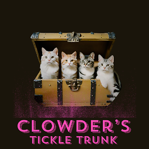 Clowders Tickle Trunk | eBay Stores