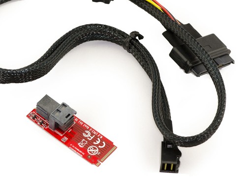 Adapter For SSD NVMe U.2 SFF-8639 On M2 Port - Connector SFF-8643 On M ...