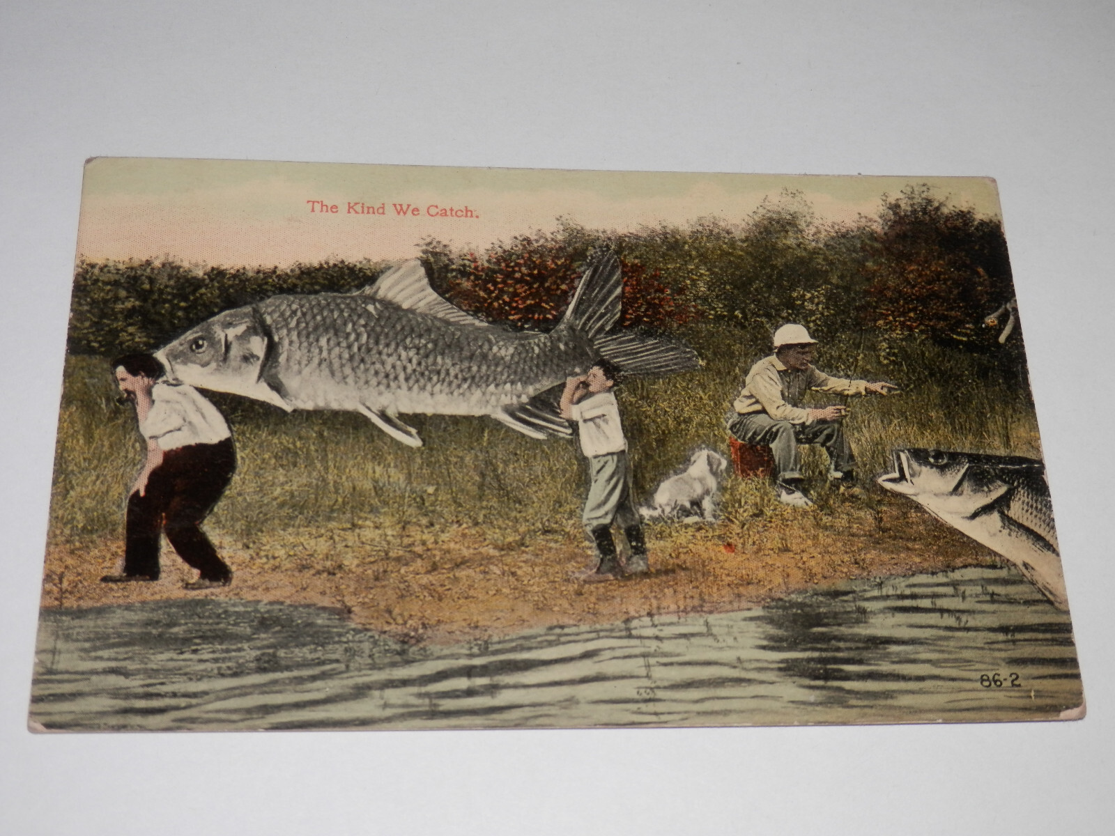 WILLIAMSPORT PA - 1913 POSTCARD - FISHING EXAGGERATION - HUMOROUS | eBay