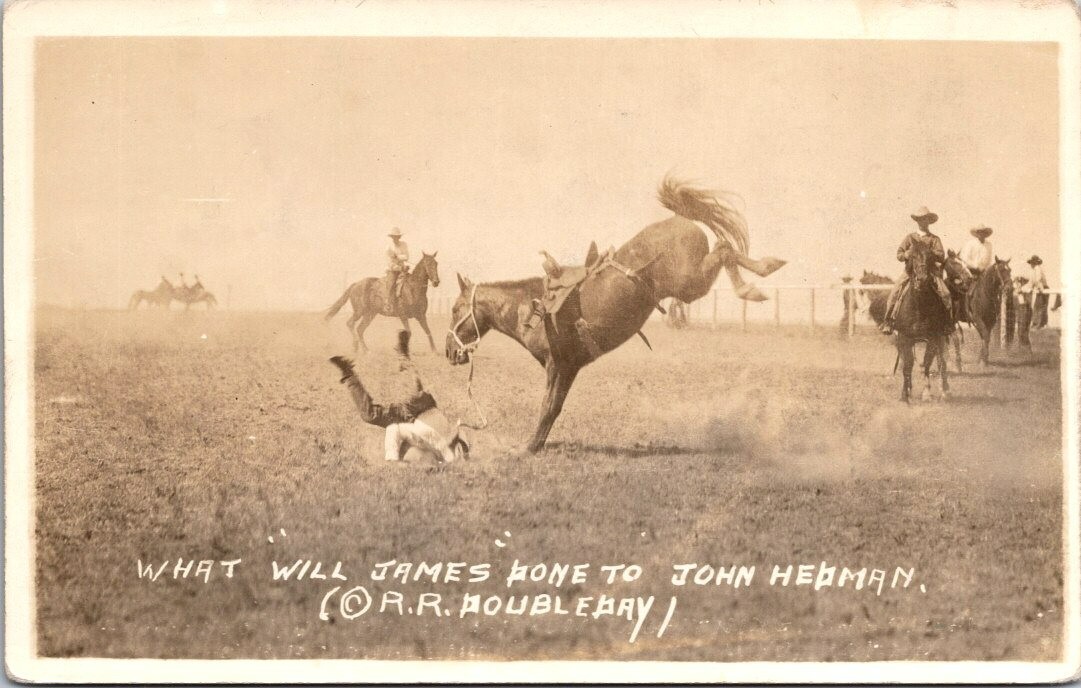 RPPC John Hedman Rodeo Horse Billings MT RR Doubleday photo postcard ...