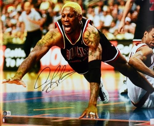 Dennis Rodman Autographed Chicago Bulls 16x20 Diving Photo - Beckett W ...