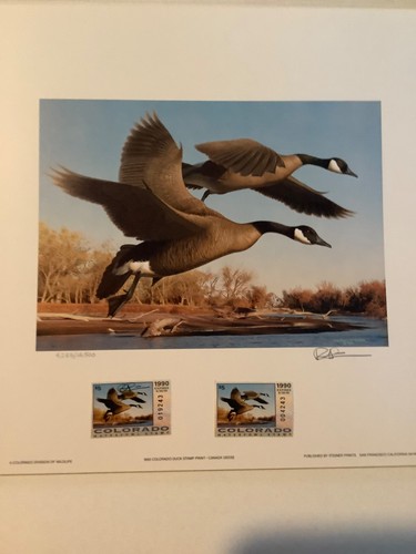 MINT IN FOLIO FIRST OF STATE 1991 COLORADO DUCK STAMPS & PRINT 2 STAMPS ...
