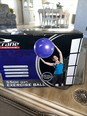 Crane 22” Exercise Ball With Foot Pump | eBay