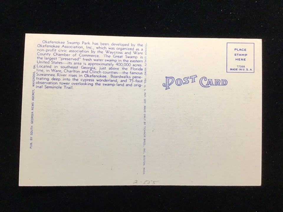 WAYCROSS GEORGIA GIRLS PICKING WATER LILLIES FROM OKEFENOKEE SWAMP PARK ...