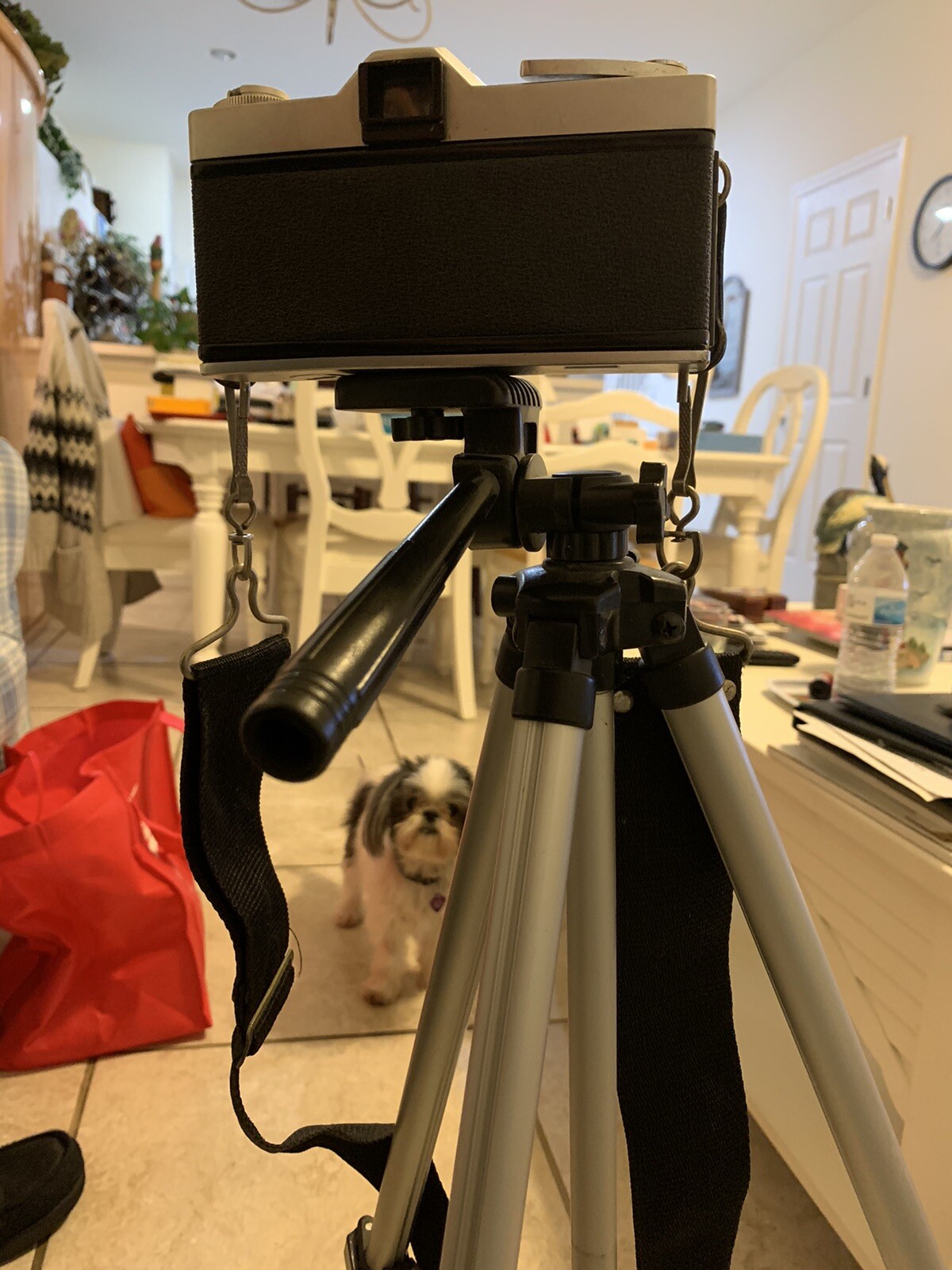 Vintage SEARS 35 mm Camera With Lense, Tripod and Flash | eBay