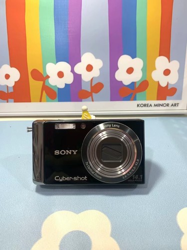 Sony Cyber-Shot DSC-W370 14.1MP with 7x Wide Angle Zoom Digital Camera ...