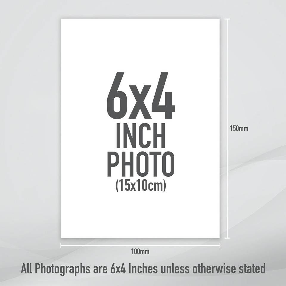 Toby Jones Signed 6x4 Photo Dobby Elf Harry Potter Autograph Signature ...