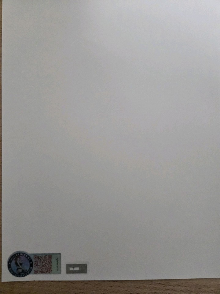 Brandi Roderick Signed 8 By 10 Jha Authenticated NFC Tag Secure ...