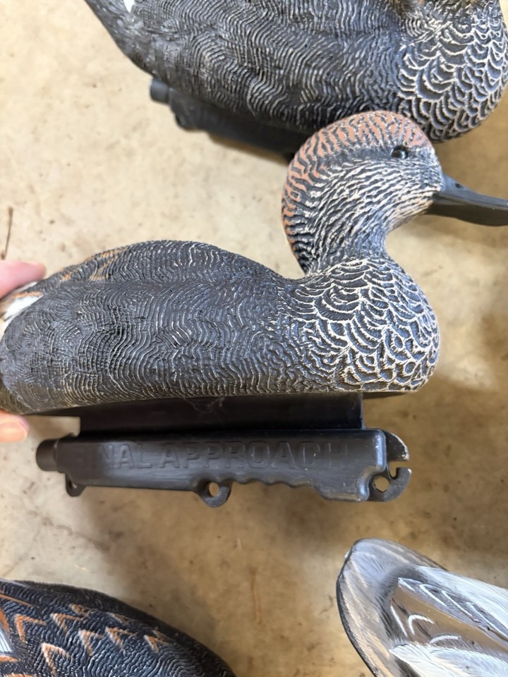 One Dozen Final Approach Duck Decoys Plastic Life Sz Gadwall | eBay