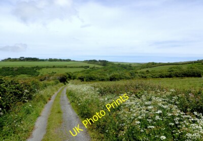 Photo 6x4 Logging road, Strathmashie Forest Feagour One of the few ...