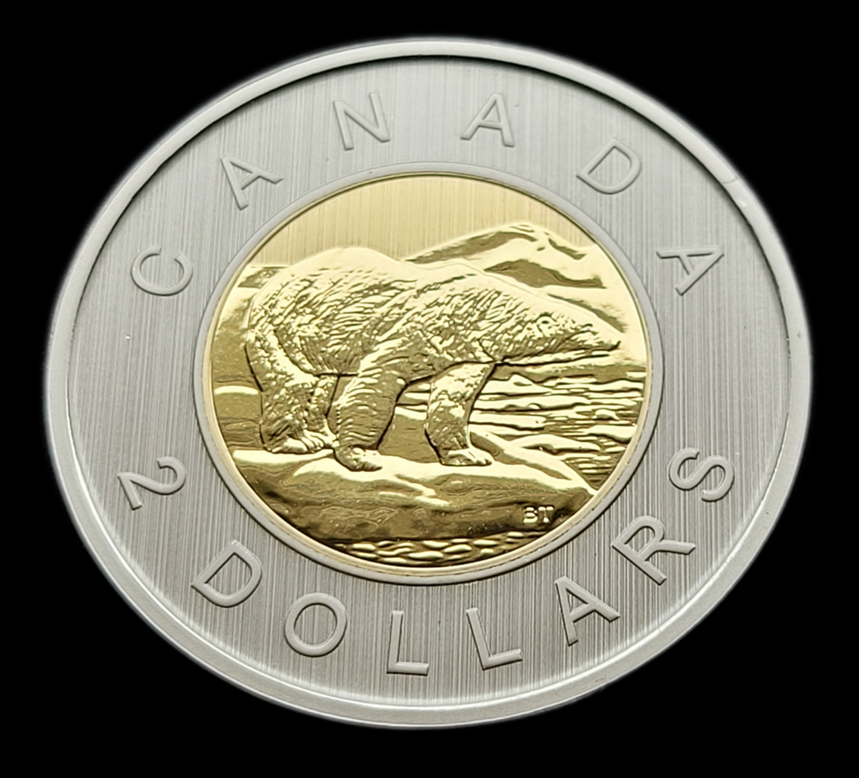 CANADA TOONIE 2024 *** SPECIMEN *** | eBay