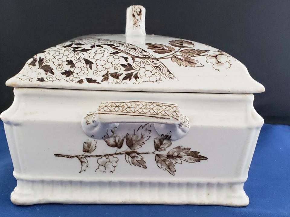 Staffordshire Covered Serving Bowl J F Wileman Albert Foley 10x6.5x5 ...