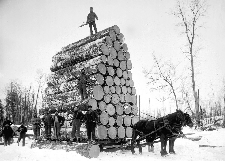 1905 Hauling Huge Logs PHOTO Lumberjacks Work Logging Michigan Horse ...