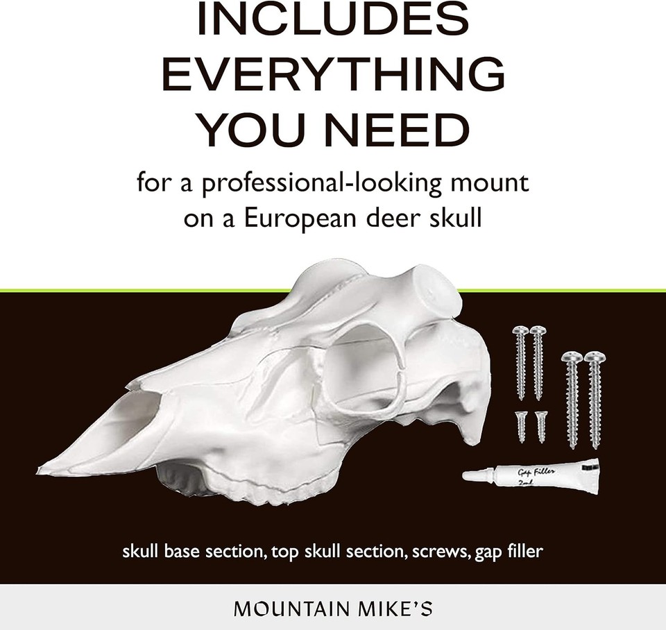 Skull Master European Deer Skull Mount Kit White Antler Display | eBay