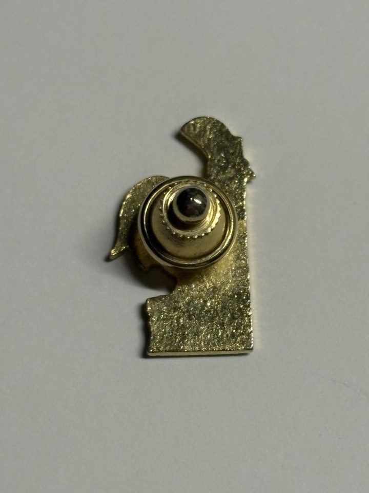 Vintage State of Delaware Souvenir Lapel Pin State Bird Blue Hen | eBay