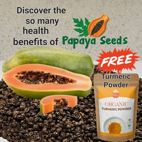 100 PAPAYA seeds Free 4oz Turmeric Powder, Gift, Organic, Free Shipping ...