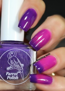 Parrot Polish Iris (Thermal) | eBay