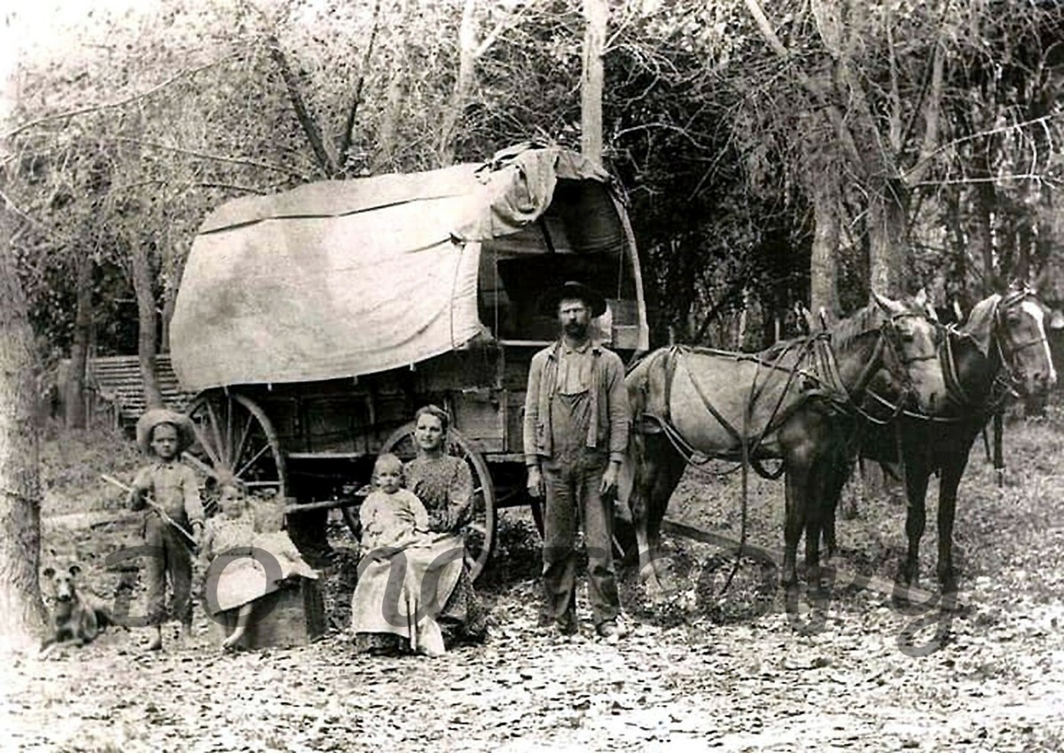 Rustic Frontier Wagon Design
