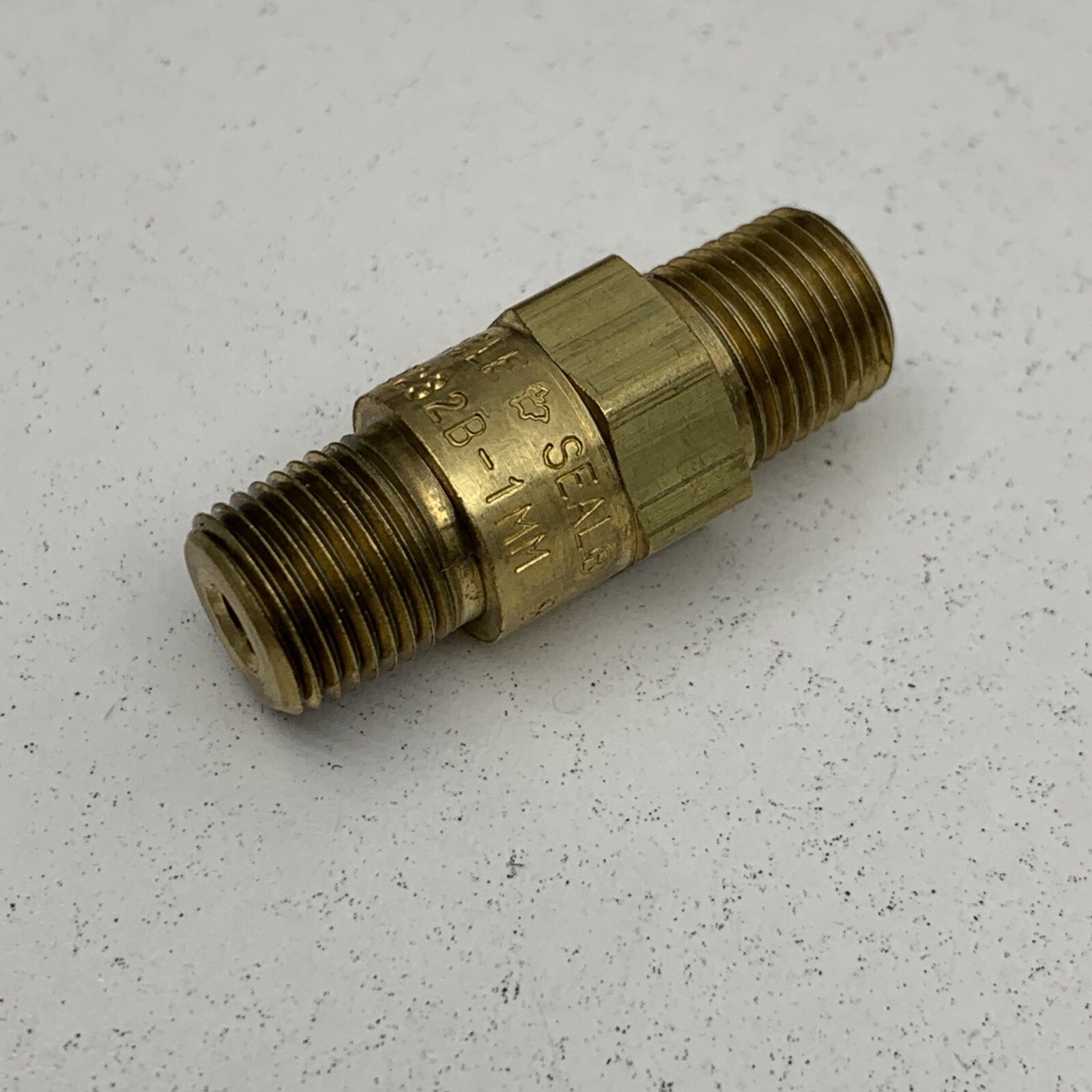 Circle Valve 2232B-1MM Brass Male Check Valve 1/8" MNPT Male NPT ...