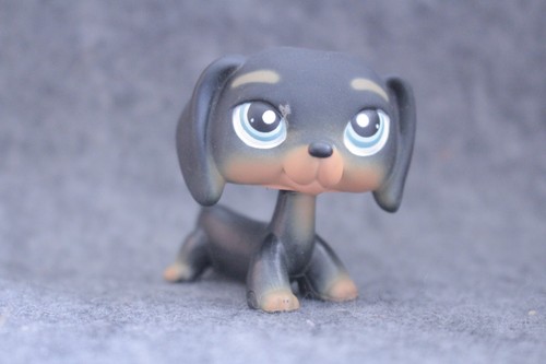 Littlest Pet Shop LPS Authentic Black Orange Dachshund Dog #325 | eBay