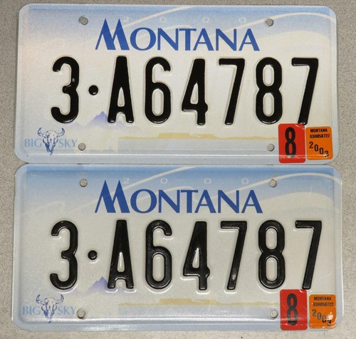 Montana License Plate Pair 3-A64787, Embossed 2000 Base, Yellowstone ...