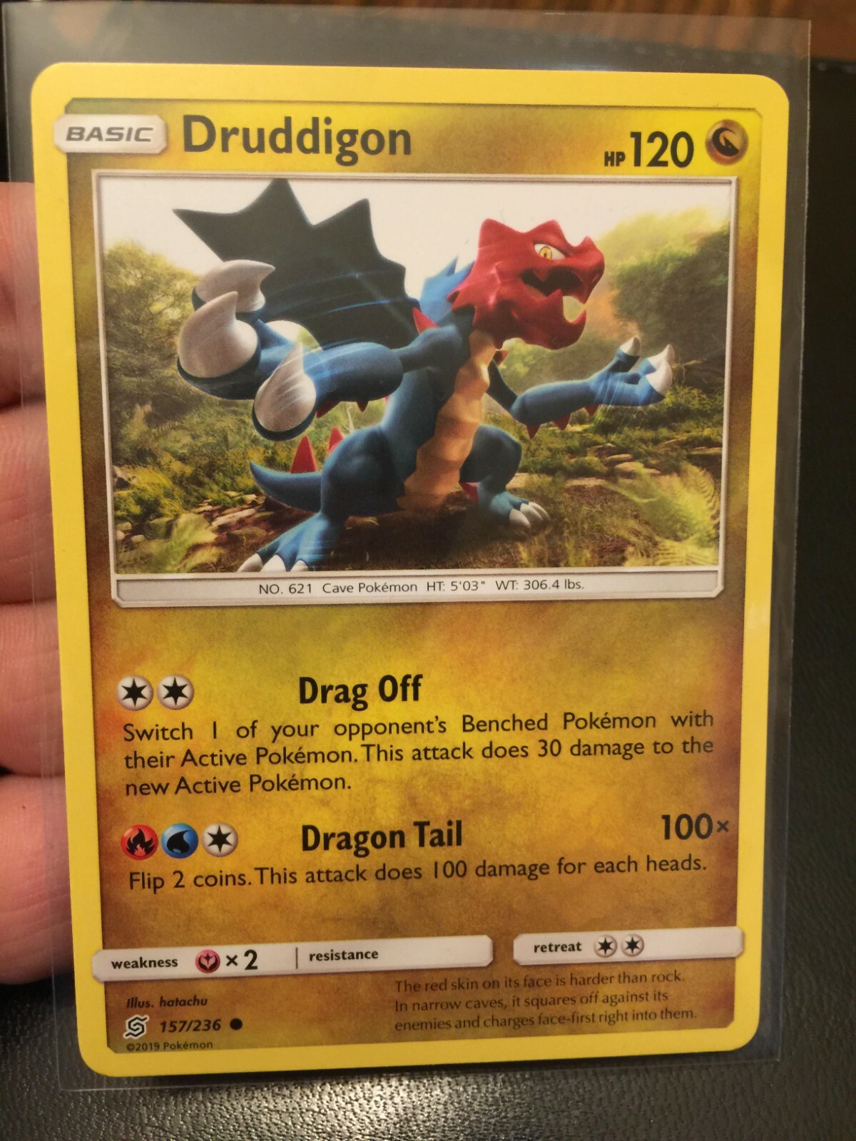 Druddigon Pokemon Card