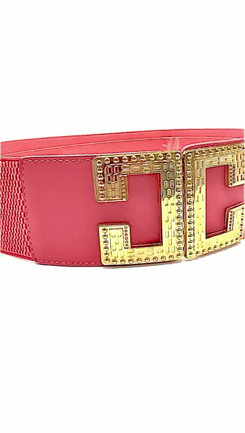 Women Coral Exotic Color Elastic Wide Band Fashion Belt Gold Metal C ...