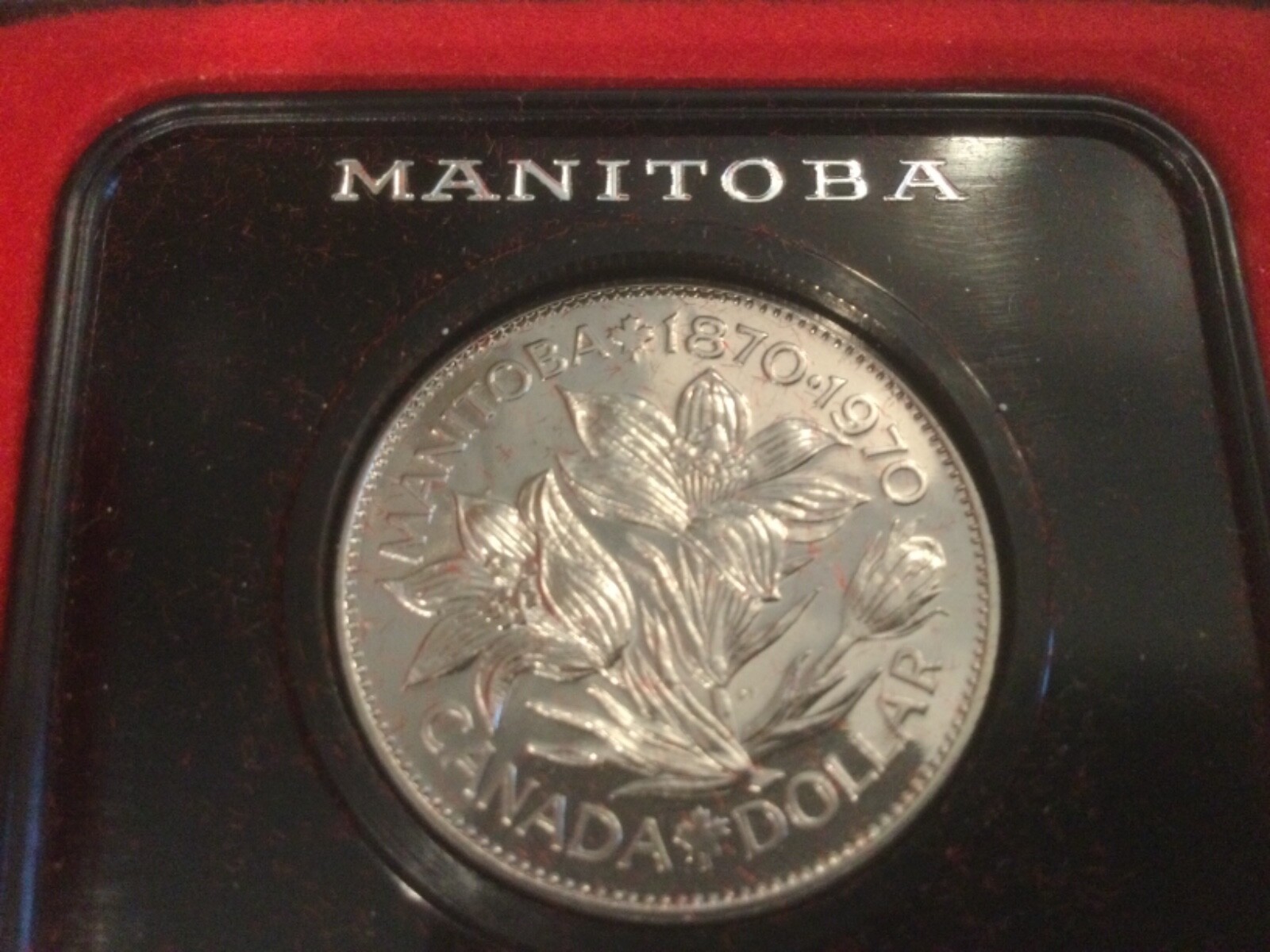 1870 1970 CANADA MANITOBA ONE DOLLAR COIN IN LEATHER CASE | eBay