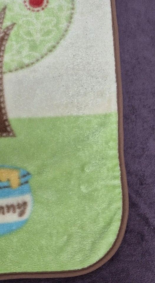 Disney Baby Winnie the Pooh Plush Blanket Throw Apple Tree Hunny Pot ...