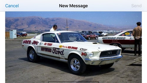 DECALS - Ed Terry ‘68 Mustang Cobra Jet. | eBay