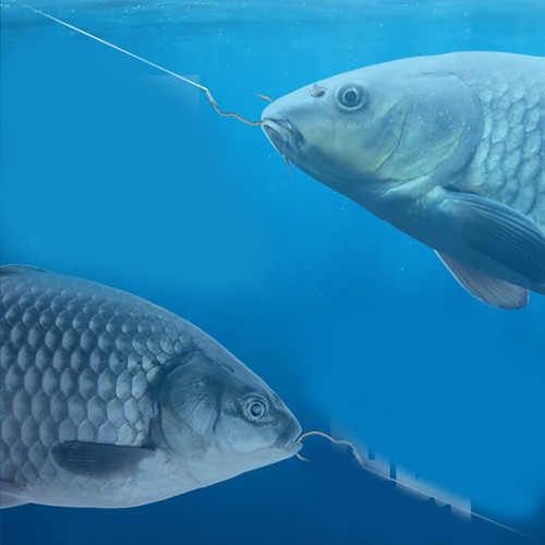 Fishing Hook Sharp Barbed Fish Automatic Flip 12Pcs Fishhook For Carp ...