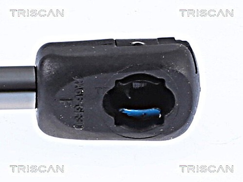 Tailgate Trunk Gas Spring Strut For MERCEDES Cls X218 2.2-5.5L 12-17 ...