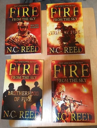 FIRE FROM THE SKY N.C. REED Books 1-4 DYSTOPIAN THRILLER Excellent ...