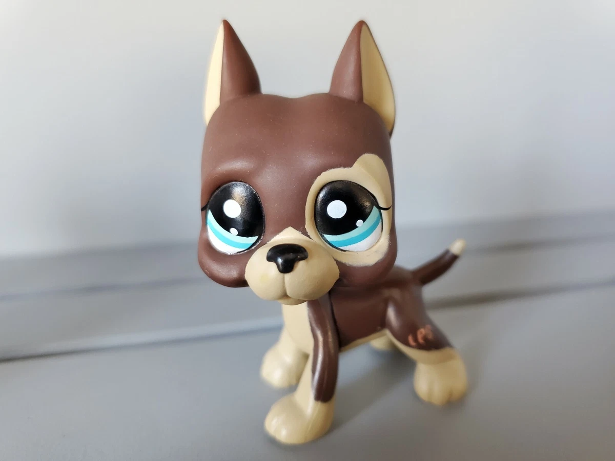 Tan Great Dane Puppy