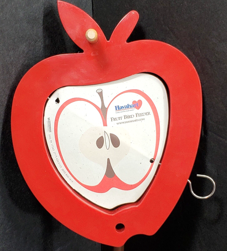 HAVAHART Red Apple Hanging Fruit Bird Feeder with Fruit Skewer and ...