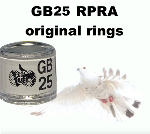 RPRA racing pigeons rings GB 2025 - breeding UK ,original GB25 + transfer form | eBay UK