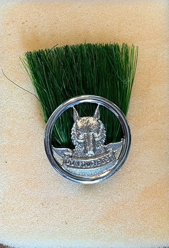 Boy Scout Hat Plume Canada AKLA Leader Green | eBay