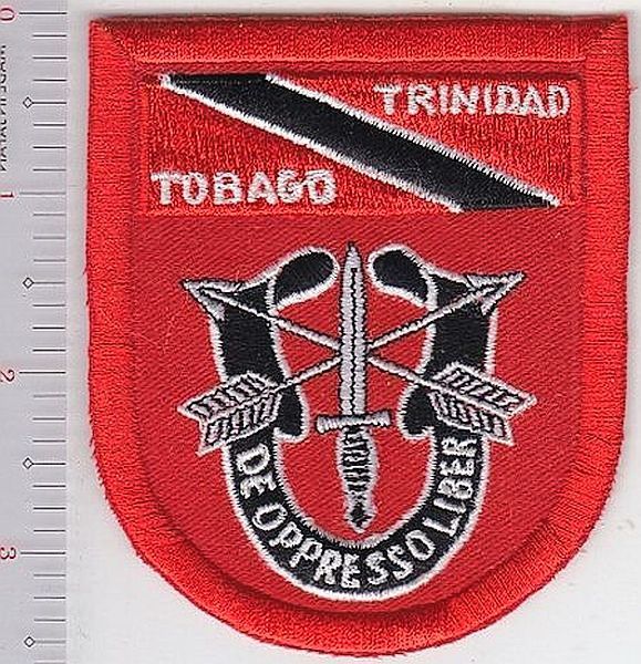 7th Special Forces Group Flash