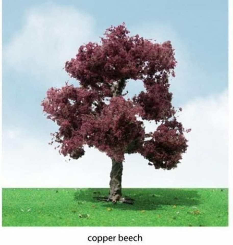 JTT Scenery Products 92305 Pro-Elite Tree, Copper Beach 3-3.5" (2) (US ...