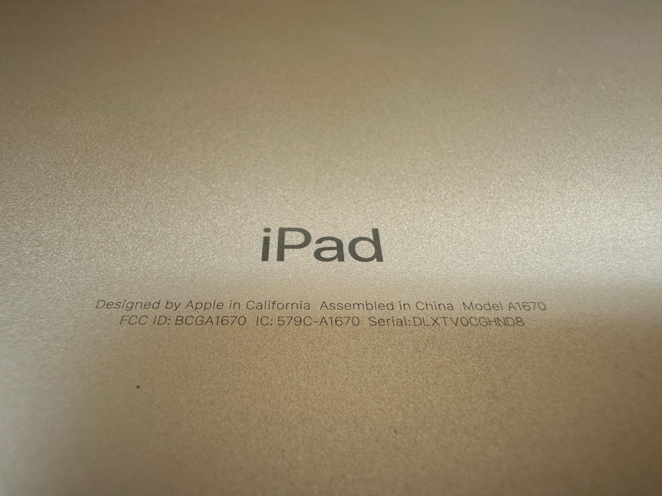 APPLE IPAD PRO A1670 12.9" A1670 2ND GEN 16GB RAM 256GB SSD (lp567) | eBay