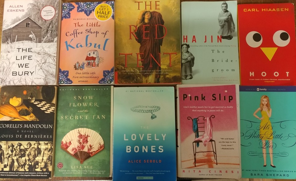 Lot of 10-LBS Large Trade Literature Fiction Paperback BestSeller ...