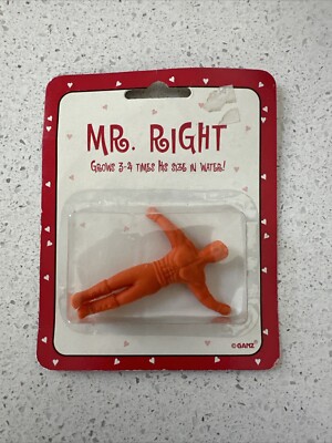 Ganz Grow A Boyfriend/Novelty, Gag Gift/ Unopened Package/Vintage/1980 ...