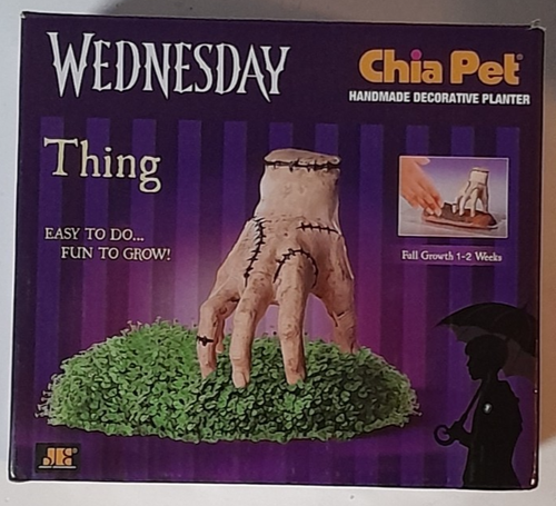 Chia Pet Wednesday Thing Decorative Pottery Planter Addam’s Family ...