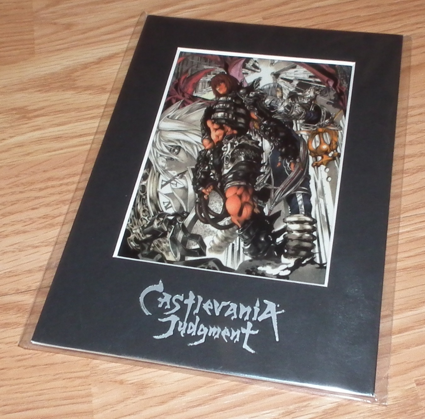 Castlevania Judgment Limited Edition Laser Cel & Certificate of ...
