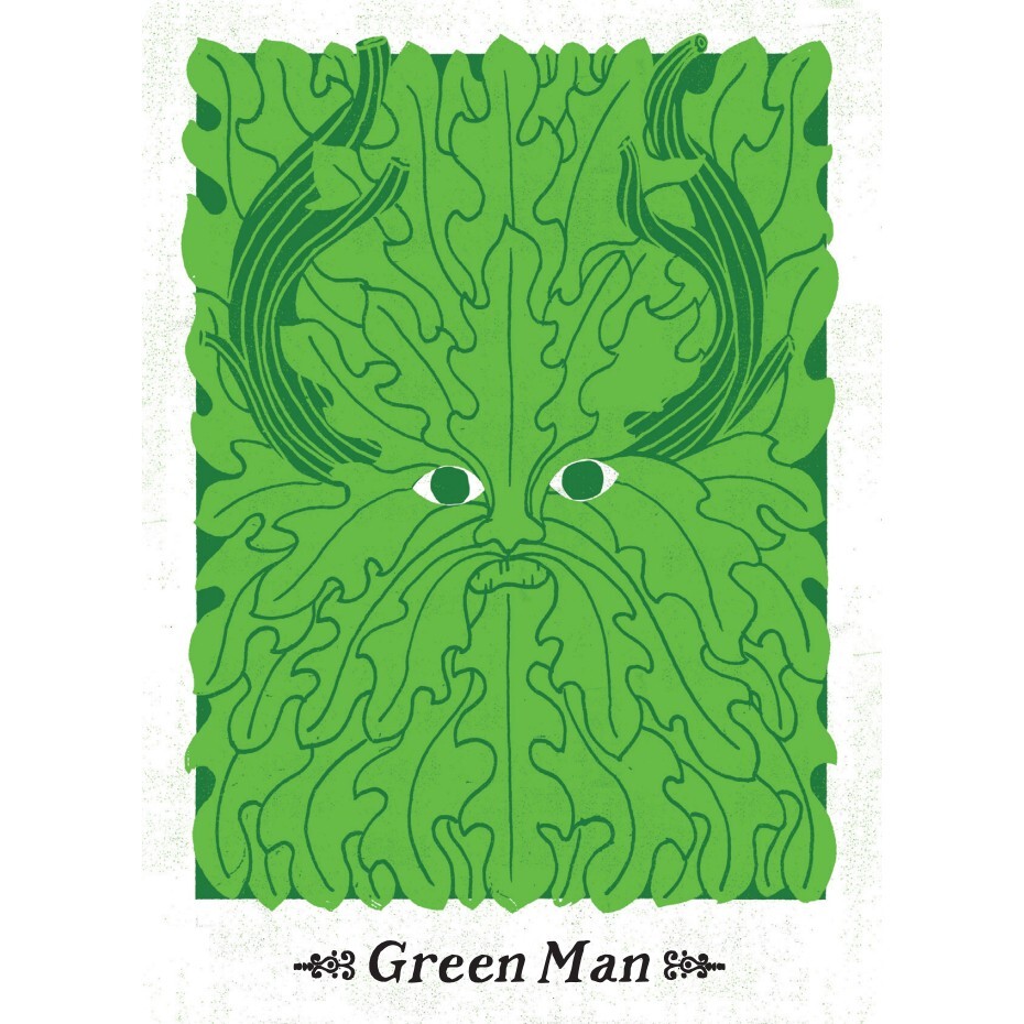 Folklore Oracle cards Deck Mike Bass 60 Divination Watkins Publishing ...