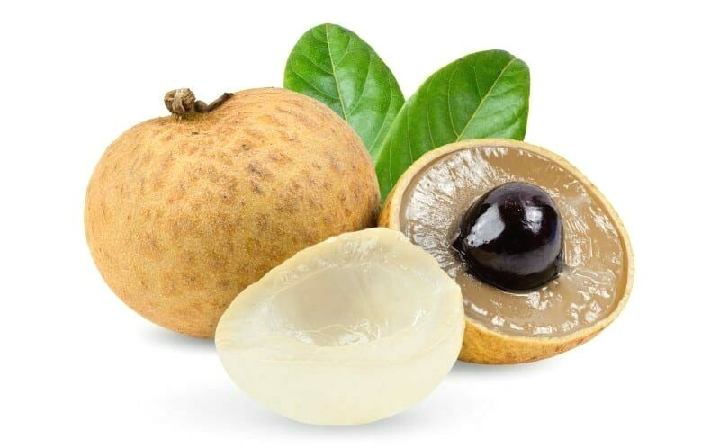 TROPICAL LONGAN PLANT, FRUIT TREE,LYCHEE COUSIN,COLD TOLERANT,GROW ...