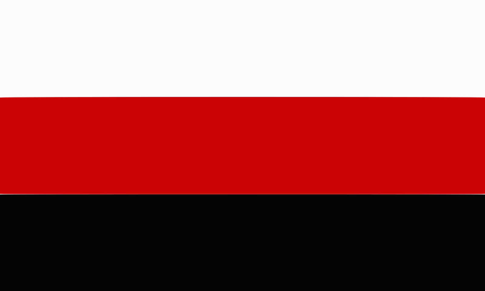 Ukraine Party Flag Batkivschina CUN National Corps UPA OUN-M Svoboda ...